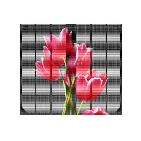 Ultra Clear Transparent LED Screen for Storefronts P2.6 Retail 500MM *1000MM Commercial Transparent Display