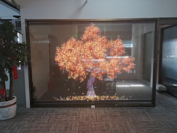Quality Flexible Ultra Transparent Film P10 Led Screen Indoor Full Color High Transparen for sale