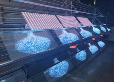 China Indoor Transparent Glass LED Display , Full Color LED Glass Screen for sale