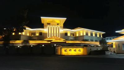 Cina Prodotto più recente P143 DMX512 RGB Luci a punto impermeabili Luci di Natale Schermo a rete LED trasparente flessibile in vendita