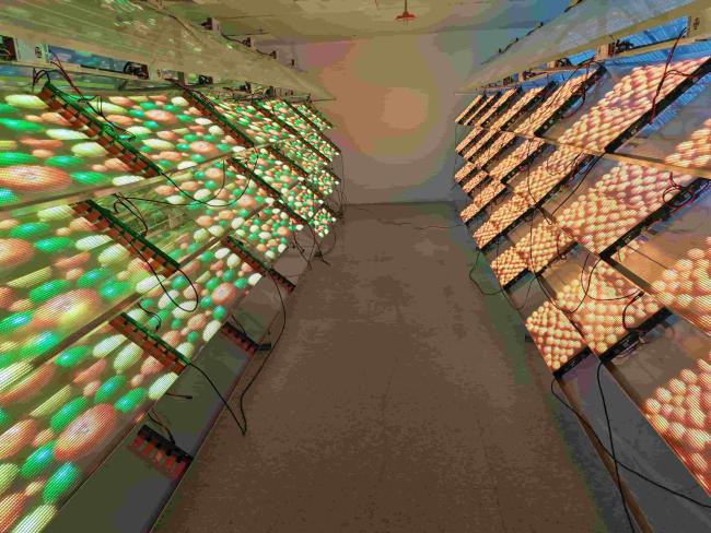 High Transparency 5V Flexible RoHS CE Transparent LED Film Display for Glass Storefronts