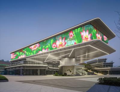 China P6 RGB Lightweight LED Transparent Display Self-Adhesive Digital Advertising Display with High Transparency Easy Installation for sale