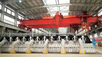 China Customized for Copper Smelting & Electrorefining Multifunctional Electrolytic Copper Overhead Crane for sale