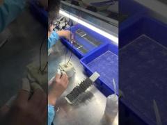 Customized 0.1W 5V White LED Backlight For Digital Products
