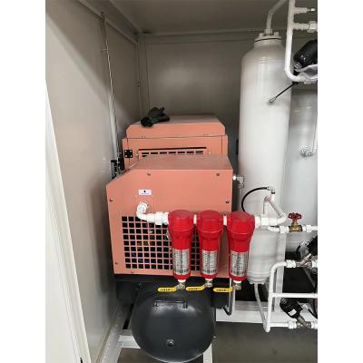 Cina Soluzioni personalizzate Gas ad alta purezza 99,9% Birra Generatore di azoto in vendita