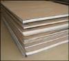 China 304 Stainless Steel Plate (DIN1.4301) for sale