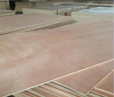 China 1220*2440*4-25mm poplar core E1/E2 glue okoume  plywood for sale