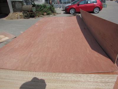 China 1220*2440*4-25mm poplar core E1/E2 glue bintangor  plywood with good quality for sale