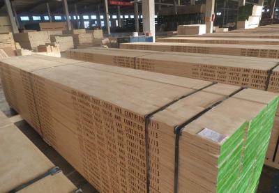 China 1100-200MM*2000-6000MM LVL---Wood Pine LVL Scaffold Plank for sale