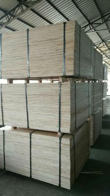 China packing grade lvl plywood/ lvl boards used for pallet for sale