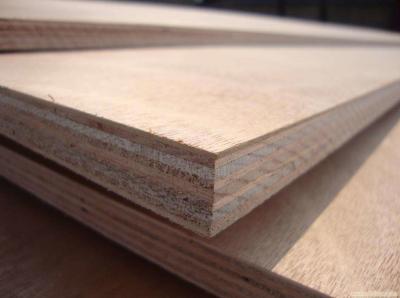 China 1220*2440*4-25mm poplar core E1/E2 glue bintangor  plywood with good quality for sale