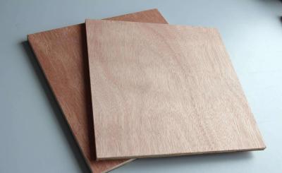 China 1220*2440*4-25mm poplar core E1/E2 glue bintangor  plywood with good quality for sale