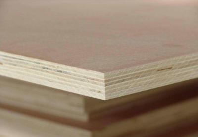 China 1220*2440*4-25mm poplar core E1/E2 glue okoume  plywood for sale
