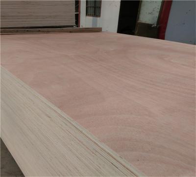 China 1220*2440*4-25mm poplar core E1/E2 glue okoume  plywood for sale