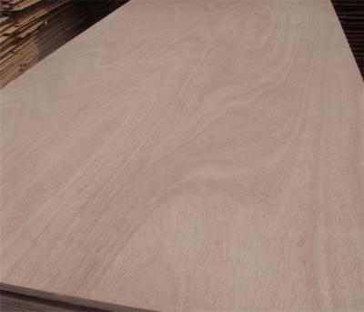 China 1220*2440*4-25mm poplar core E1/E2 glue okoume  plywood for sale