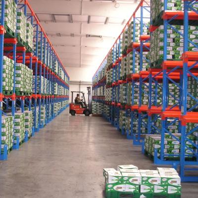 Cina Azionamento pesante nelle scaffalature per lo stoccaggio a freddo e per il magazzinaggio ad alto volume in vendita