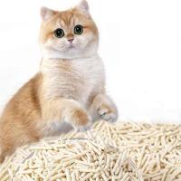 China Easy Clean Unscented Cat Litter Water Absorption Efficient Deodorization Flushable Tofu for sale
