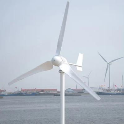 Cina Sistema di generatore di energia ibrido per mulini eolici con batteria a gel e frequenza di uscita di 50 Hz in vendita