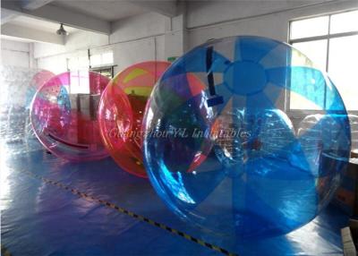 Cina palla di camminata della mezza acqua di colore del PVC di 0.8mm, palla umana della bolla dell'acqua del parco di divertimenti in vendita