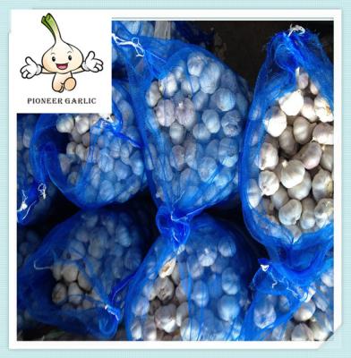 China Top Quality Chinese Fresh Garlic Jinxiang Red Garlic Purple Garlic 5.0cm In 10kg Carton for sale