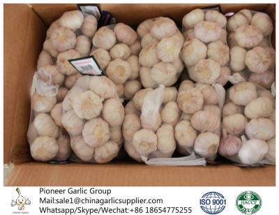 China 2018 China fresh garlic export to Brazil for sale