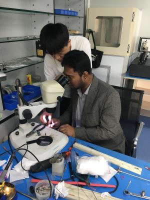China New Edition Rigid And Flexible Endoscope Repairs Training Course Endoscope Service program for sale