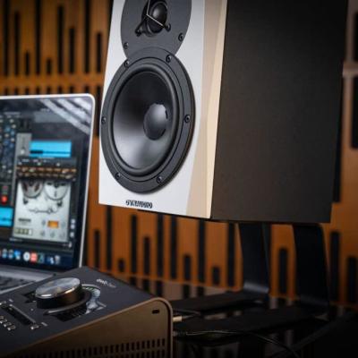 Cina Polvere di rivestimento altoparlante da scrivania Stand per libreria e laptop audio confezionamento personalizzato in vendita