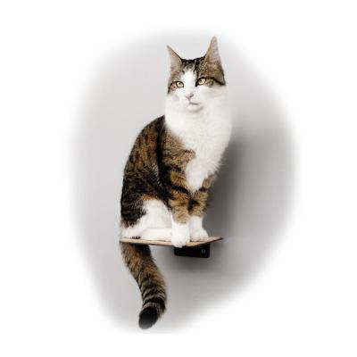 Cina Cat ripiani mobili supporto per arrampicarsi e graffiare Standardizzato taglia rastrello per spazzolare in vendita