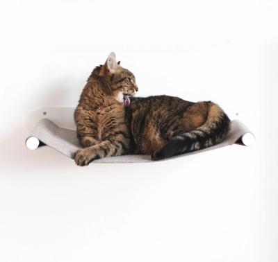 Cina Piattaforma di graffiatura per gatti montata a parete con mobili per angoli di gatti in metallo lucidato in argento in vendita