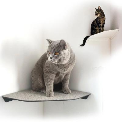 Cina Montaggio a parete Pre-Toratura Mensole per gatti Mobili a parete a supporto a un lato con tappeto di feltro in vendita