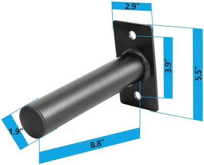 Cina Attachment per scaffalatura nera per il deposito di piastre di allenamento della forza in stile di design moderno in vendita