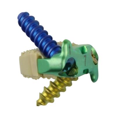 China Sterilization 2 Screws Zero Profile Cage Anterior Cervical Cage Stand Alone CE Spinal Surgery for sale