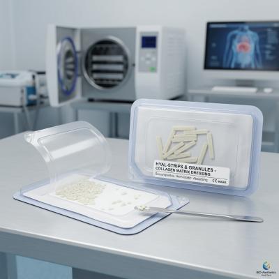 China 10cc Synthetic Bone Substitute For Fracture Treatment Retains Osteoinductive Activity for sale