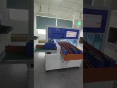 Automatic Prismatic Cell Sorting Machine