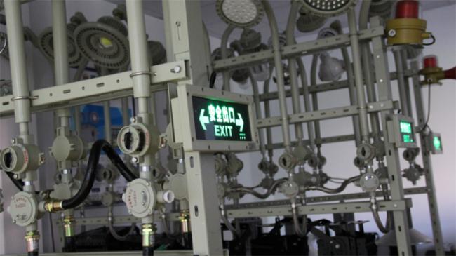 ATEX / IECEx / RoHS / CNEX / ISO9001 Certified Compact Explosion-Proof Emergency Exit Lights CRI ≥70 Customizable For Hazardous Areas 0