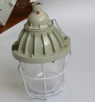 China Explosionssichere Lampen-flammenfester IP55 optionaler Lampenschirm ATEX 220VAC, 50-60Hz zu verkaufen
