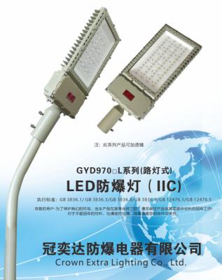 Cina Lampada principale solare protetta contro le esplosioni della via di alto potere 100w 200w 300w 500w in vendita