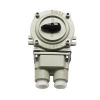 China Explosion Proof Switch SW-10 10A G3/4 Cable Entry IP65 ATEX Certified for Hazardous Areas for sale