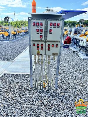 Cina Pannello di controllo a prova di esplosione con certificazione ATEX CNEX per cantieri navali di raffinerie chimiche in vendita