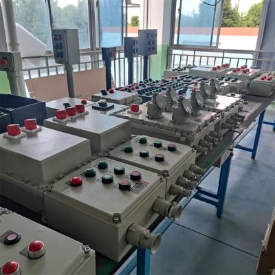 Cina IP66 pannelli di controllo a prova di esplosione a prova di fiamma WF2 con ingresso di cavo personalizzato certificati ATEX in vendita