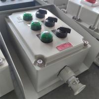 China Explosion Proof Fiber Optic Patch Panel IP66 WF2 Flameproof Control Power Distribution Panel 100-305VAC for sale
