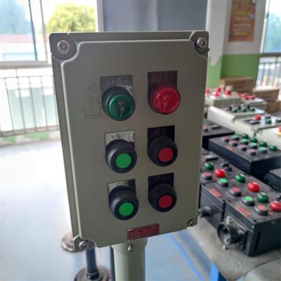 Cina Pannello della scatola di controllo petrolchimica con ATEX CNEX IP66 WF2 Protezione AC110/220/380/460V in vendita