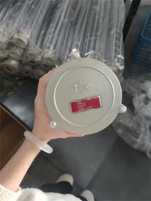 China Class 1 Div 1 Ex Proof linear Fluorescent light With ATEX IECEx RoHS CNEX ISO For Marine Offshore Facilities for sale