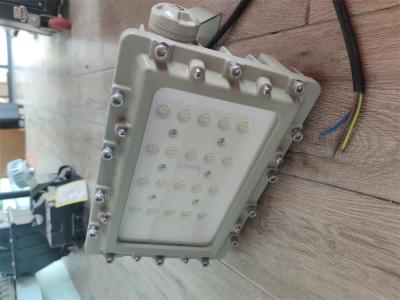 China 180lm/w Explosion Proof Led Flood Lighting fixture lampe ATEX/IECEx/RoHS rated cct customizable for sale