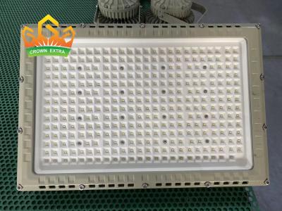 China Lâmpada de LED de alumínio intrinsecamente segura com condutor MEANWELL à venda