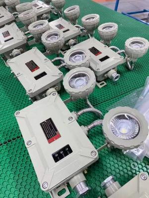 China 90/120/180 Mins Long Duration Emergency Light CCT 4500-6500K LED Flameproof Lighting for sale