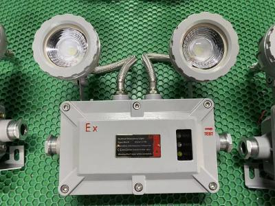 China Ex d IIB Flameproof Rechargeable Emergency Light | Portable Well Glass Explosion Proof Lamp for sale
