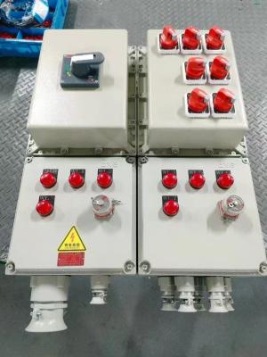 Cina IP66 WF2 Pannello a prova di ex per aree pericolose in vendita