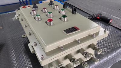 China ATEX Certified Control Panel with Aluminum/Stainless Steel Enclosure for sale