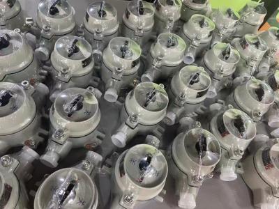 China Aluminio de grado marino de 2 polos 10A interruptor a prueba de explosión IP66 A prueba de polvo G3/4 entrada de cable en venta